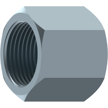 BSP Fixed Hex Cap – Century Hose & Couplings Ltd