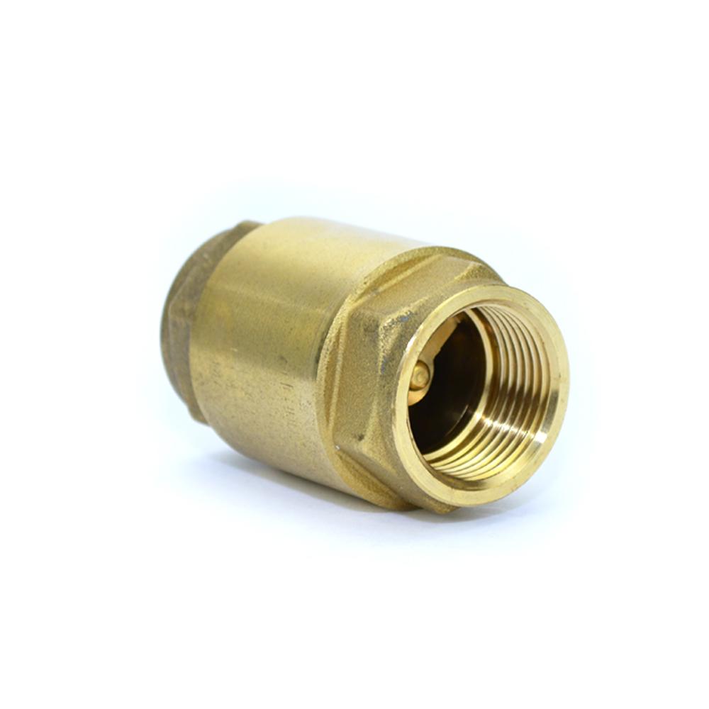 Europa Brass Spring Check Valve, Screwed BSP – Century Hose & Couplings Ltd