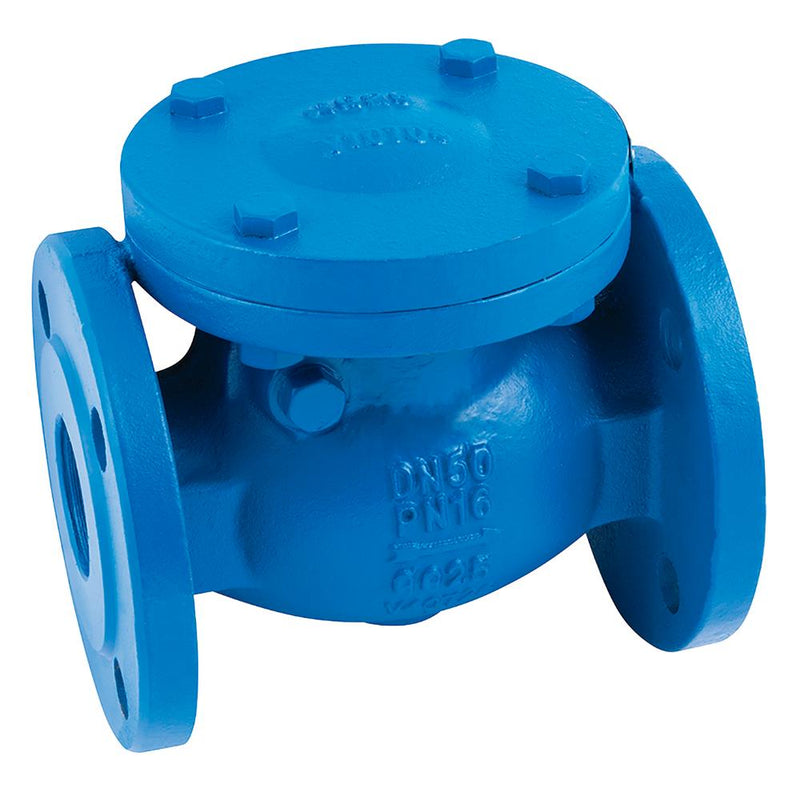 Flanged PN16 Cast Iron Metal Seated Swing Check Valve – Century Hose ...
